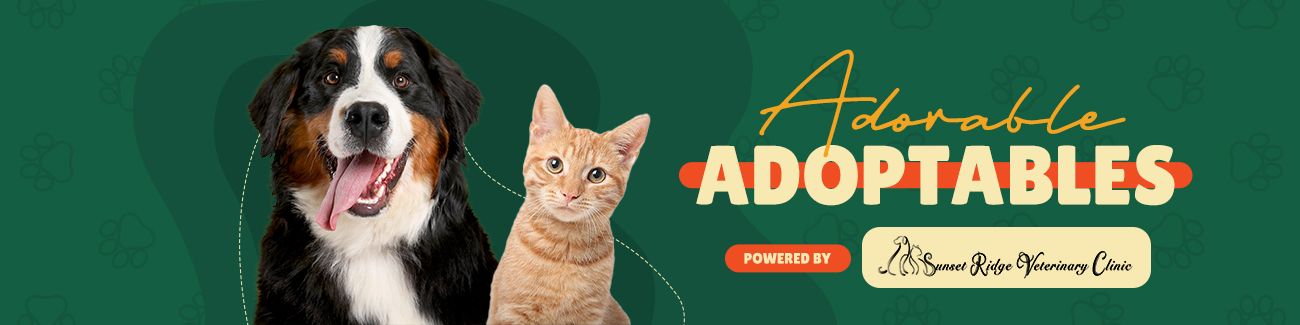 Adorable Adoptables - CochraneNow: Cochrane, Alberta's latest news ...