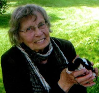 DiscoverHumboldt.com - Local news, Weather, Sports, Classifieds, and ...