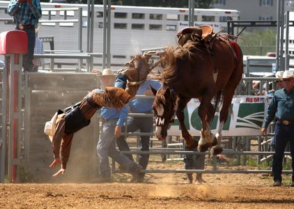 Home Page - SwiftCurrentOnline.com - Local news, Weather, Sports, Free ...