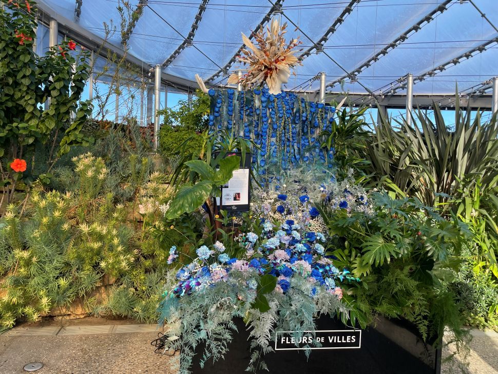 Manitoba florists evoke wonder at Fleurs de Villes - Classic107 ...