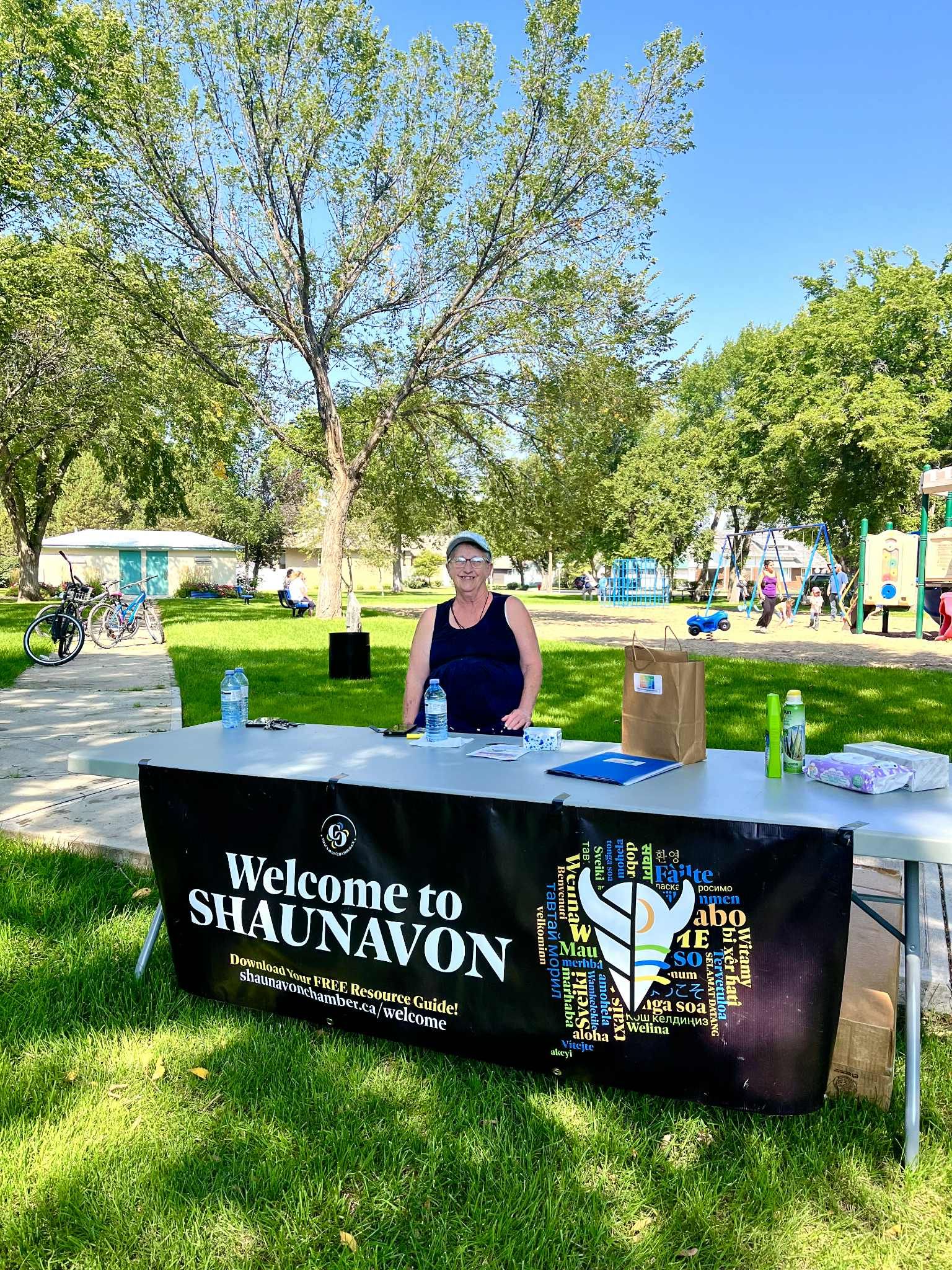 Southwest town ends summer with first-ever Picnic in the Park ...