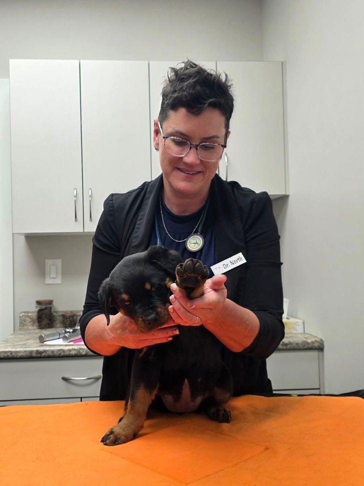 Portage to welcome new vet clinic led by familiar faces - PortageOnline ...