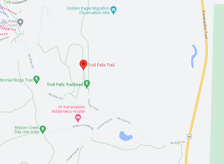 Hikers encounter black bear on hiking trail - StrathmoreNow.com - Local ...