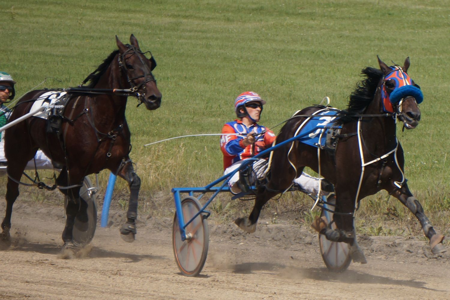 Get a taste of harness racing with Miami’s free events ...