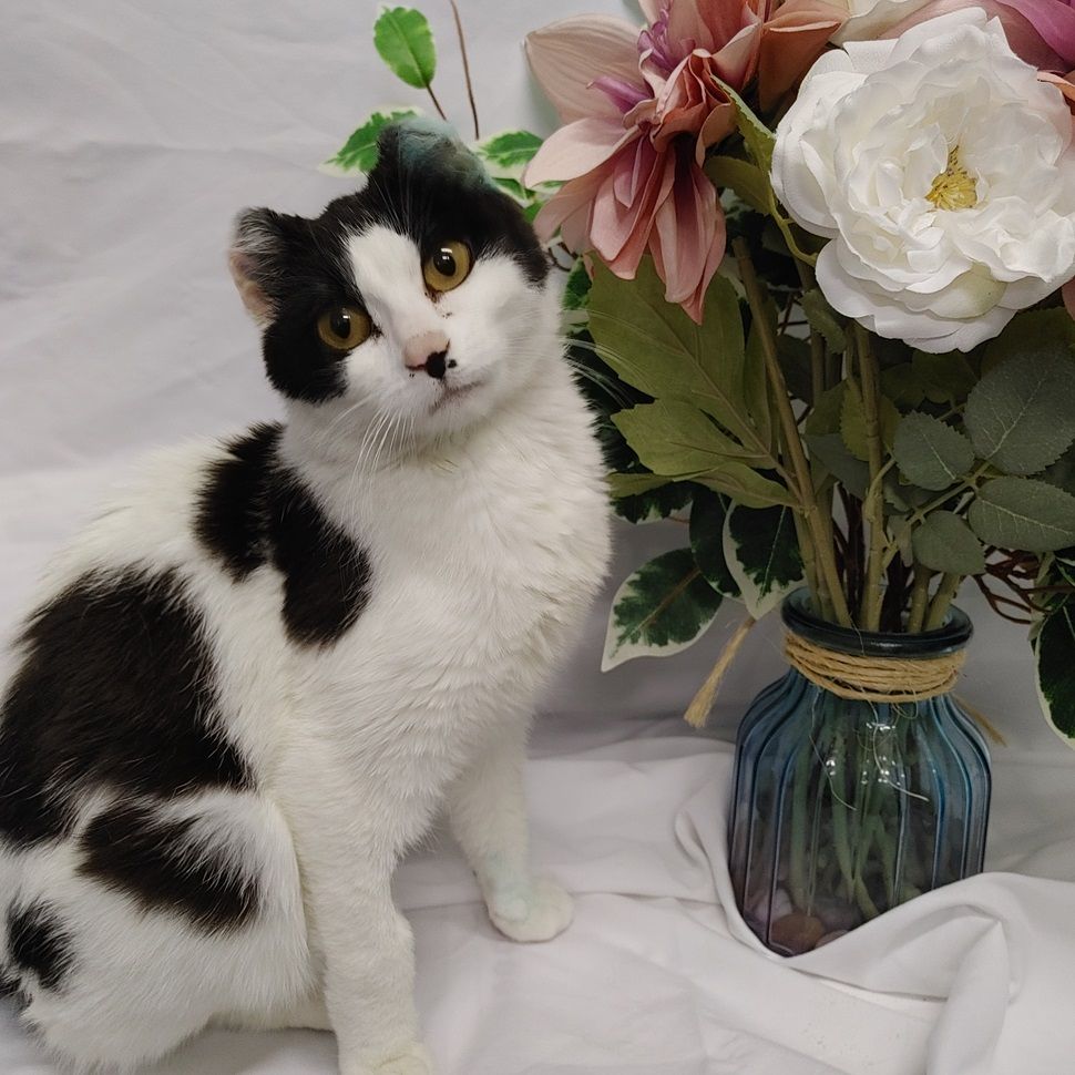 Fetch a friend Friday! - WestCentralOnline: West Central Saskatchewan's ...