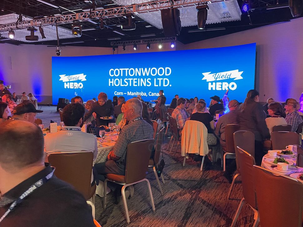 Local farmer wins international corn yield award - SteinbachOnline.com ...