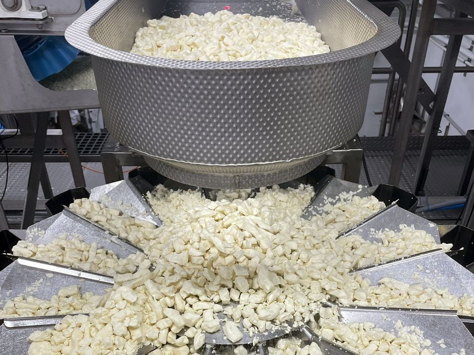 Bothwell Cheese resumes production following early June fire ...