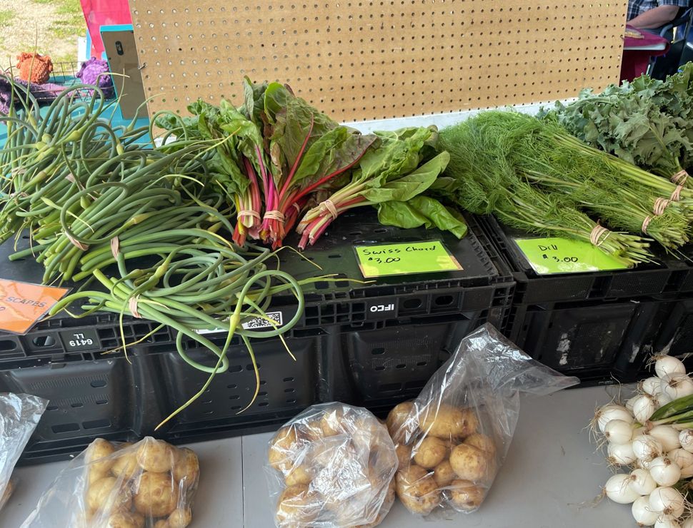 Heatwave boosts plant growth, challenges baker - SteinbachOnline.com ...