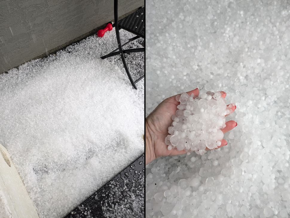 Hailstorm pummels gardens in the Île des Chênes area - SteinbachOnline ...