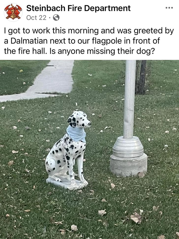 Dalmatian statue’s mysterious journey to Steinbach's fire hall revealed ...