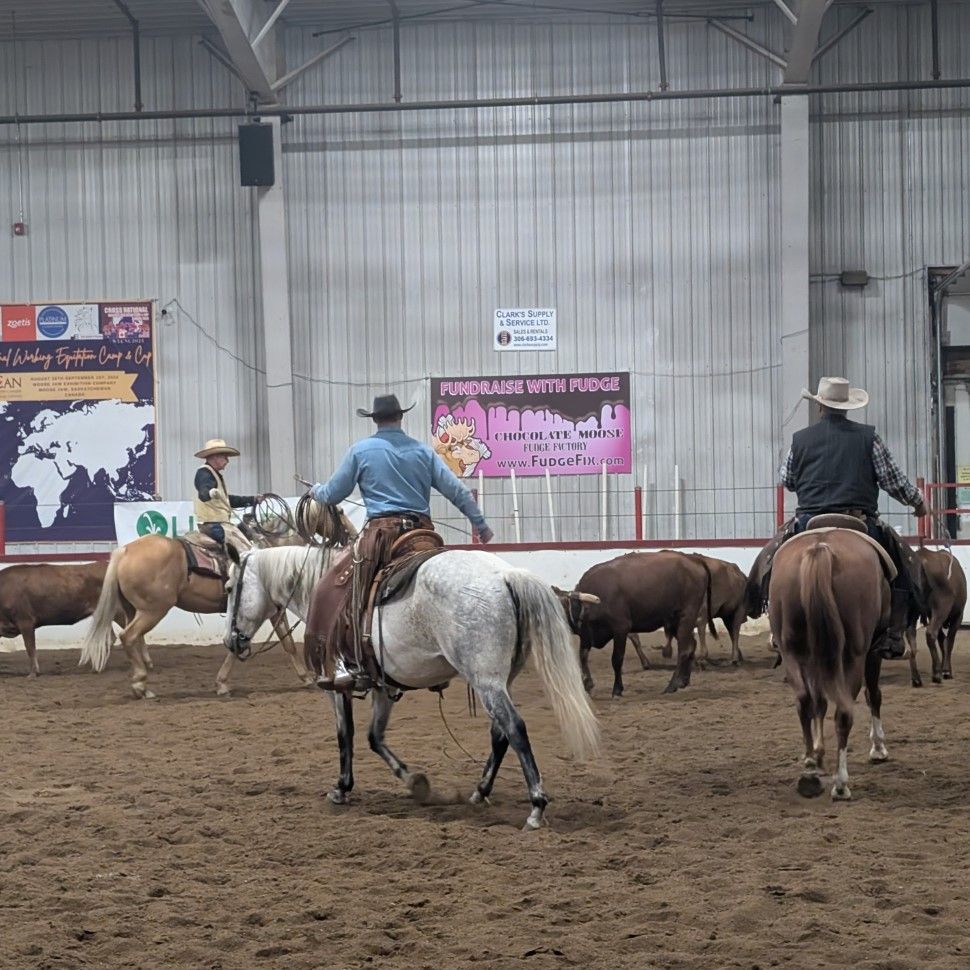 Ranch roping nationals showcase traditional cowboy skills in quiet ...