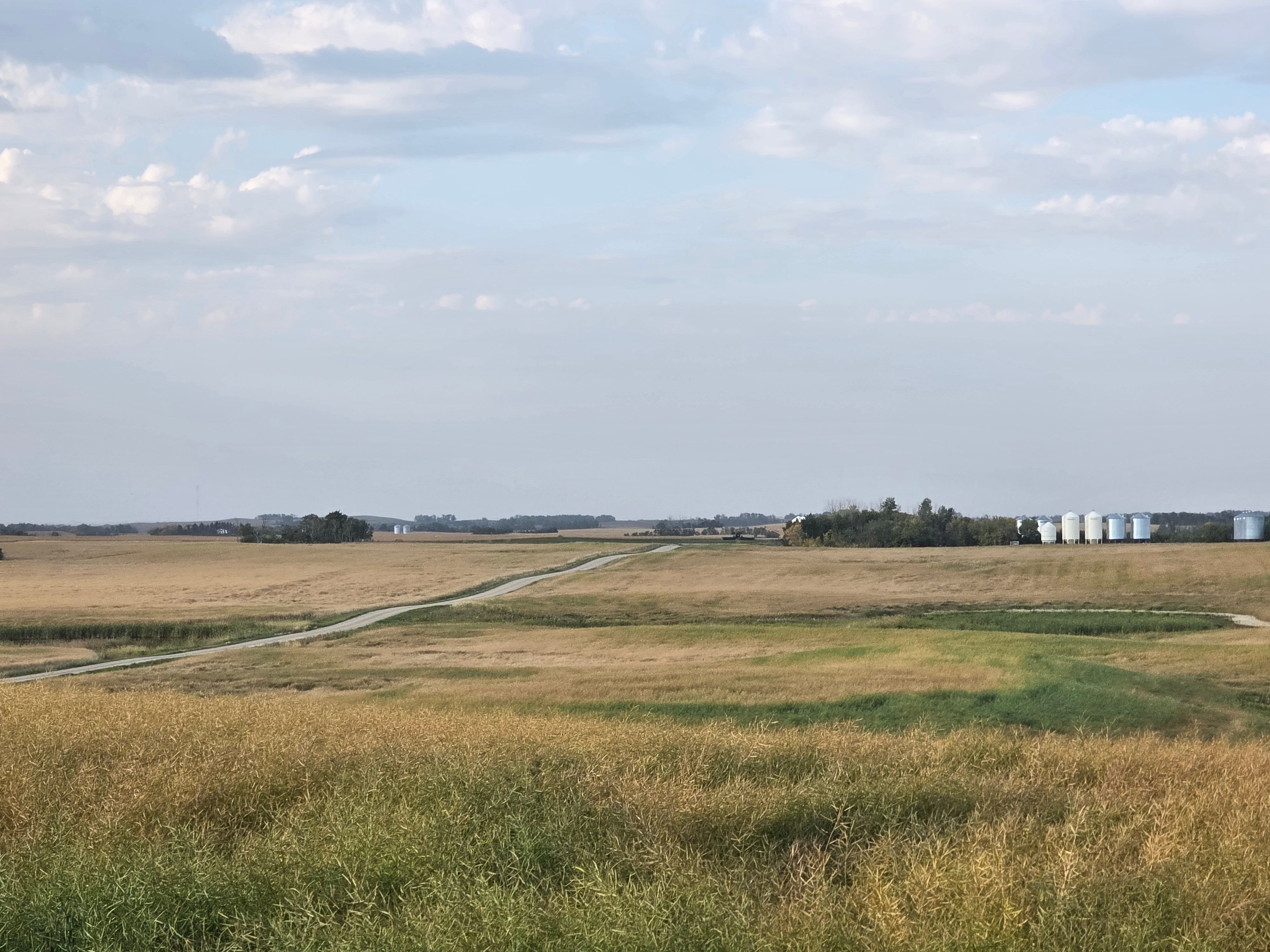 Week four Meal In The Field: Dale family farm - DiscoverHumboldt.com ...