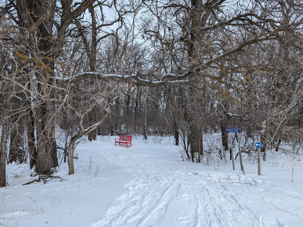 Local trail to have animal tracking and 's'more' for Winter Trails Day ...