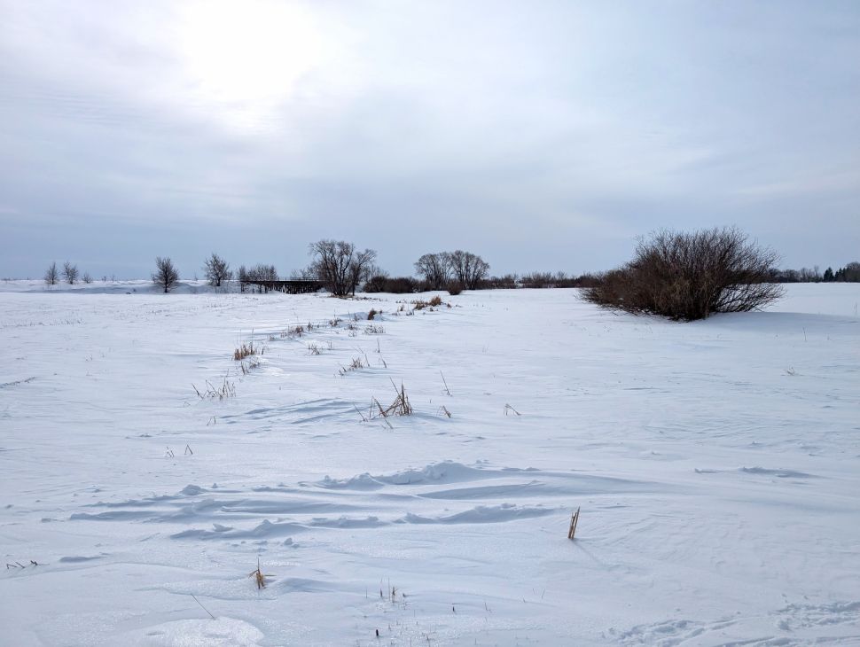 Local trail to have animal tracking and 's'more' for Winter Trails Day ...