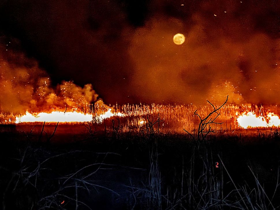 La Broquerie fire crews battle 750 acre blaze for 8 hours ...