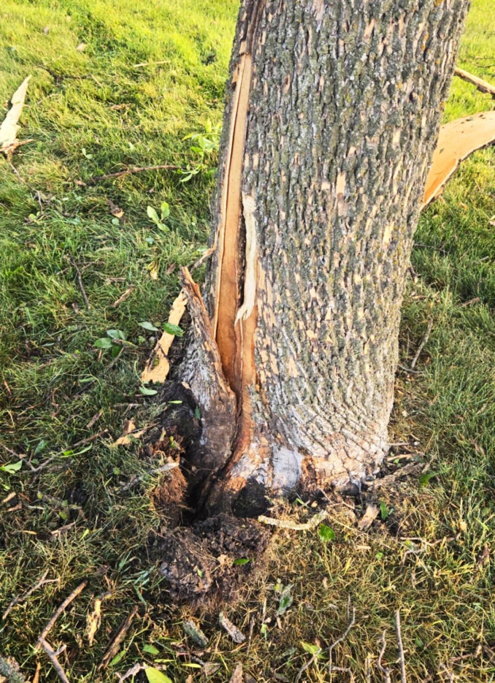 “I literally almost fell off my chair”: Lightning hits close to home ...