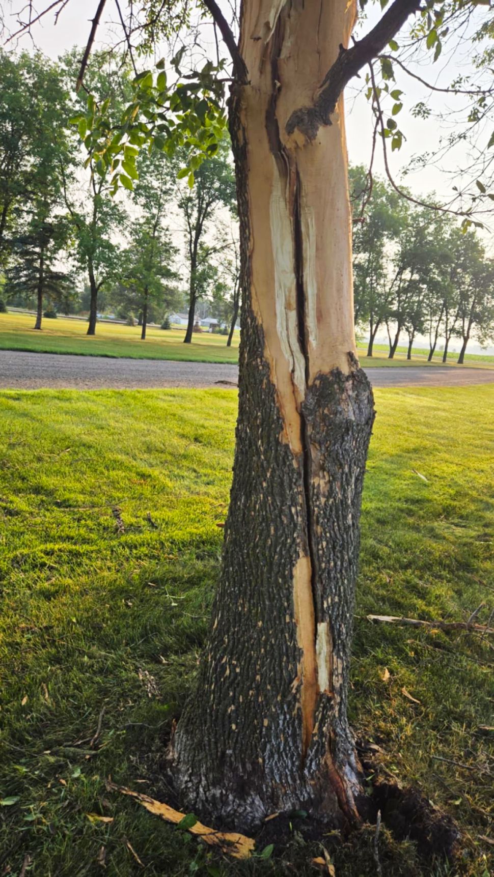 “I literally almost fell off my chair”: Lightning hits close to home ...