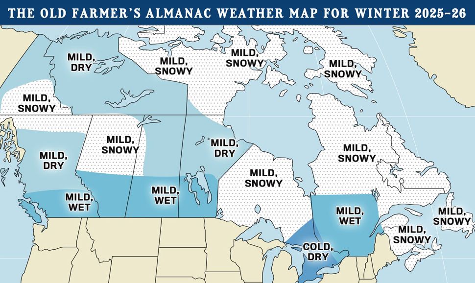 Mild and wet winter in store for Southern Manitoba - SteinbachOnline ...