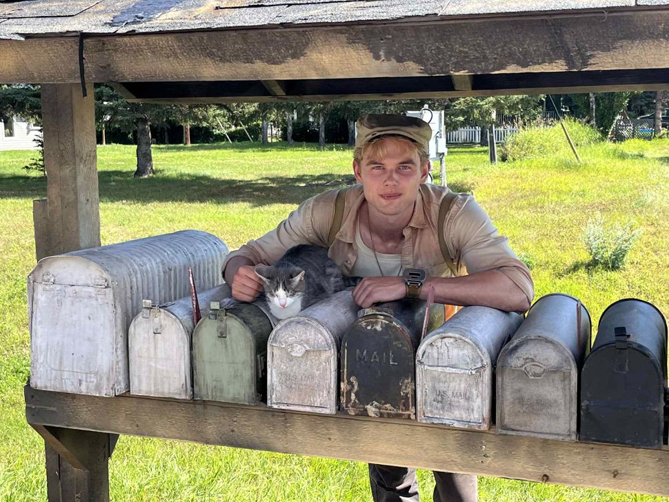 Steinbach rescue cat Dory makes movie debut in Stephen King’s The Long Walk - SteinbachOnline ...