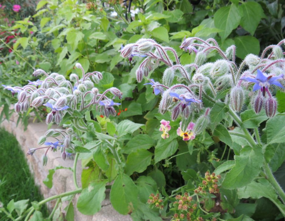 Frost arrives in southeast, but forecast shows return to summer warmth ...
