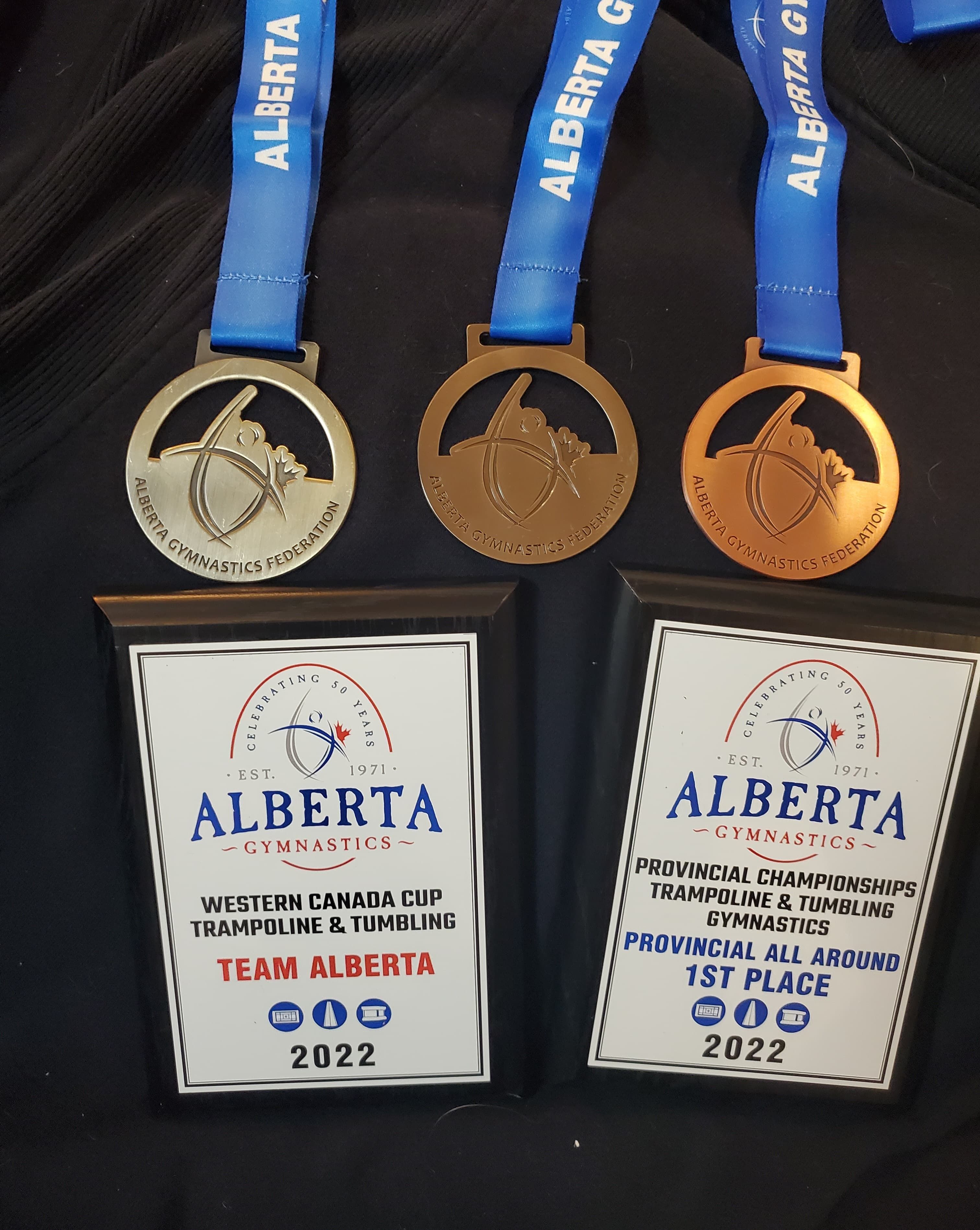 Young Airdronian makes Team Alberta Gymnastics - DiscoverAirdrie.com ...