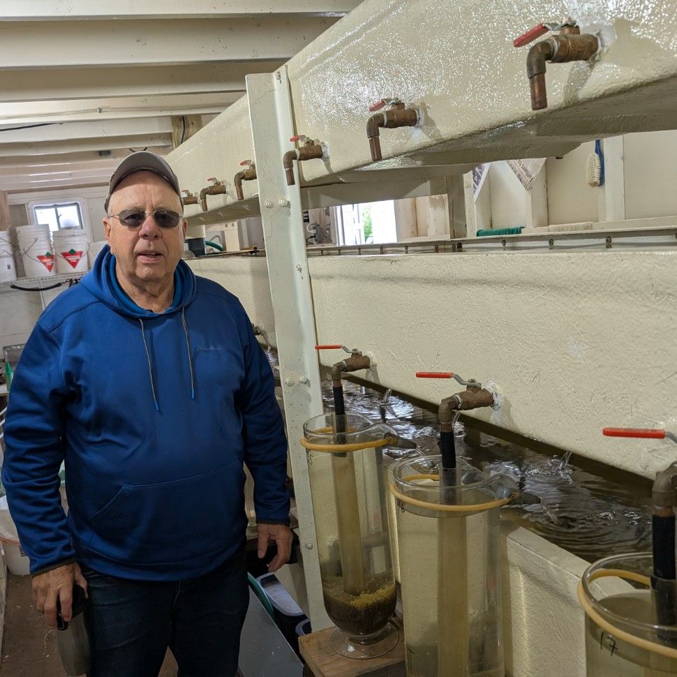 Walleye Hatchery by MJ Wildlife Federation has proved a game-changer ...