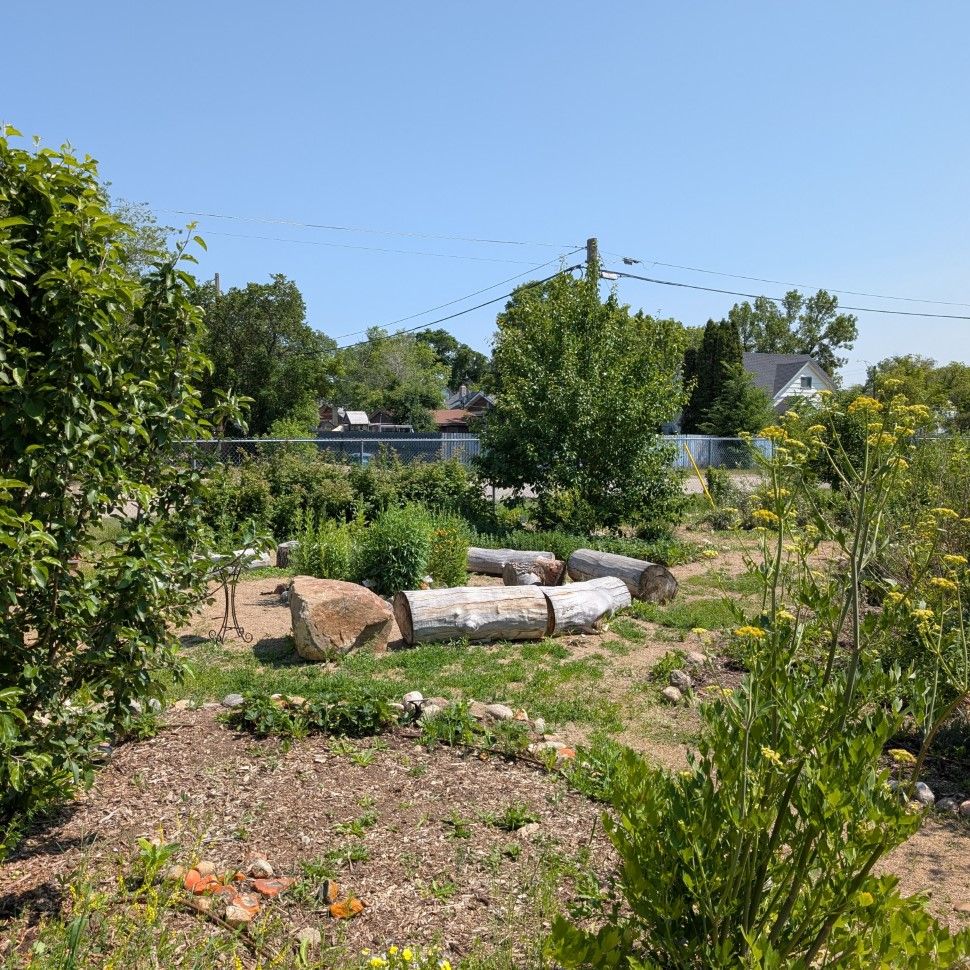 Moose Jaw Food Bank calling on green thumbs to help community garden ...