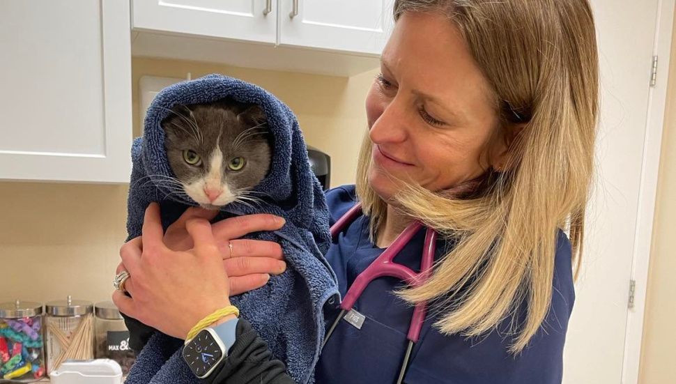 Steinbach woman committed to finding cats forever homes fosters 50 ...