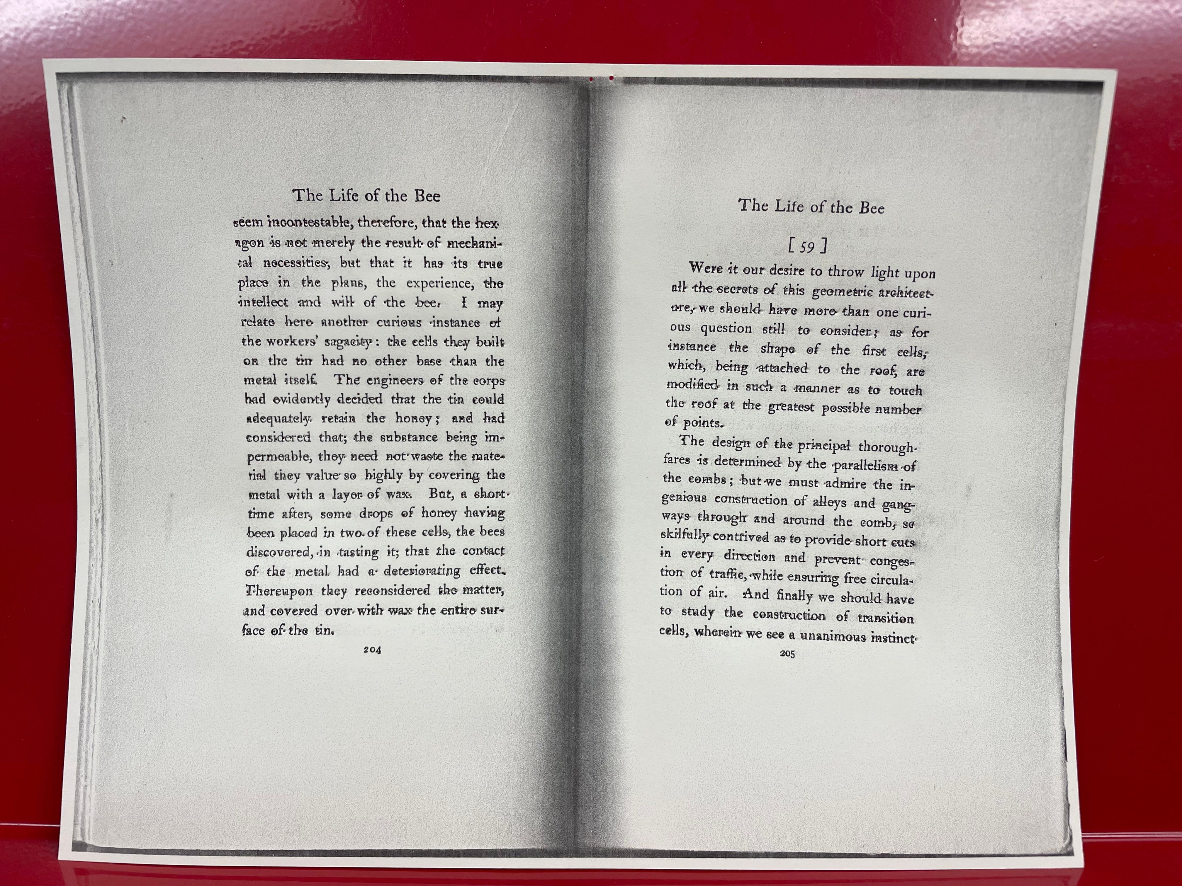 Jennifer Still named as Winnipeg's new poet laureate - Classic107 ...