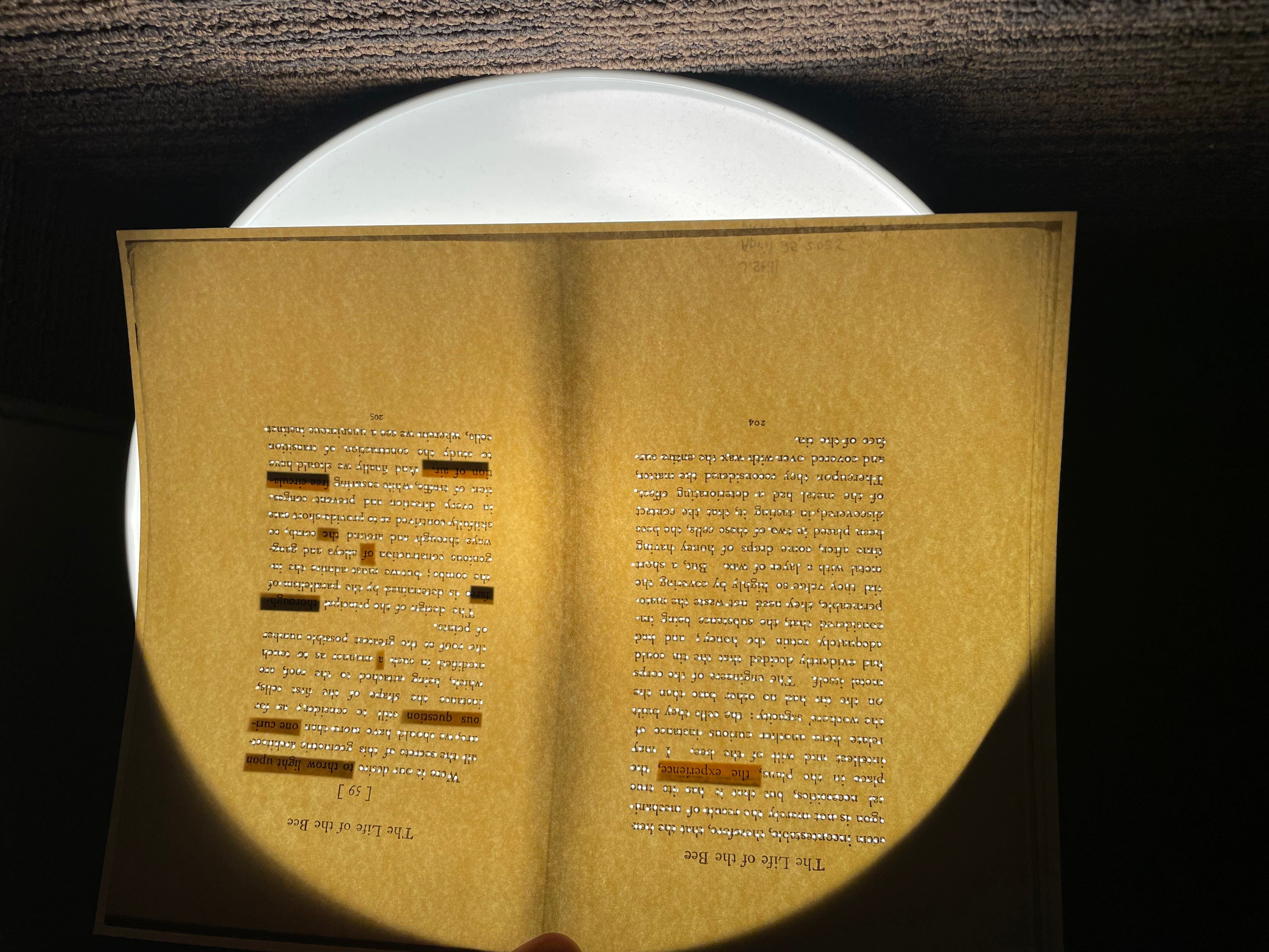 Jennifer Still named as Winnipeg's new poet laureate - Classic107 ...