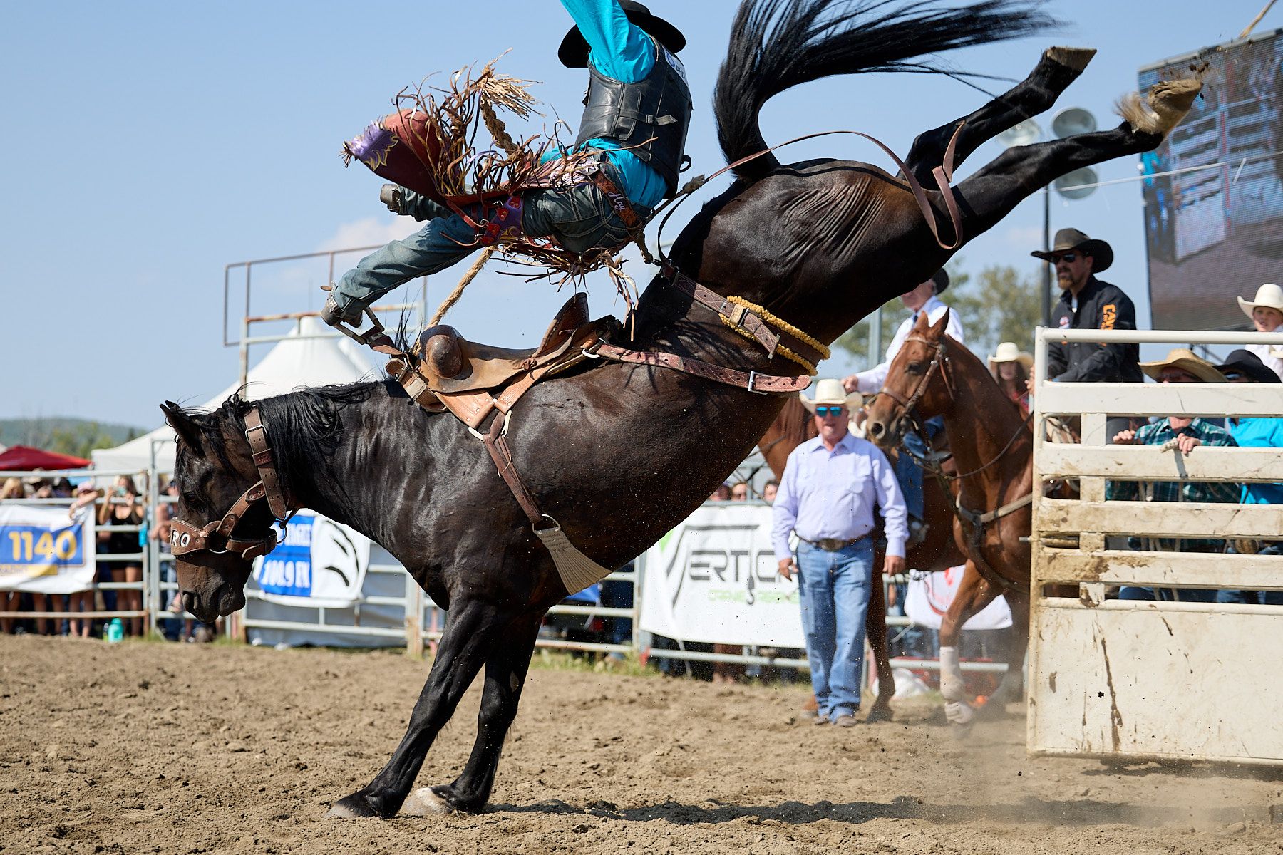 More than Mutton Bustin’ this August at the Okotoks Pro Rodeo ...