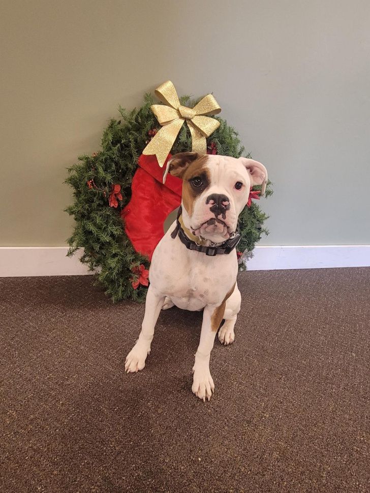 Community invited to celebrate the season at Fort la Reine’s winter ...