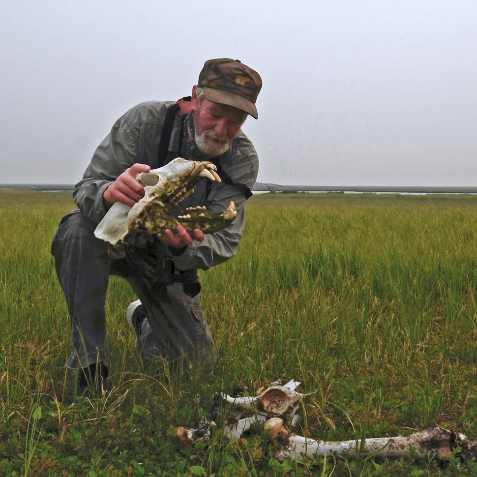 Macdonald native chronicles 45 years of life in the wild ...
