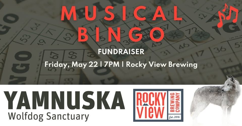 Music bingo night in Cochrane raises funds for Yamnuska Wolfdog ...