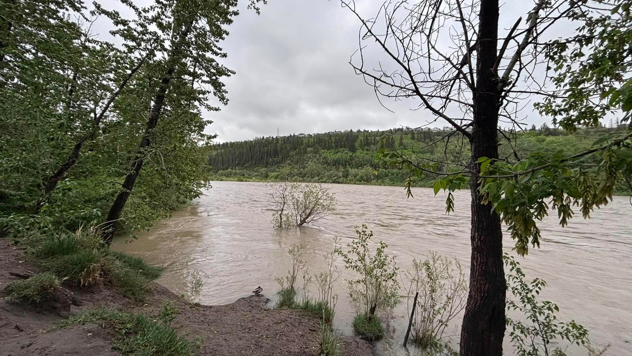 Airdrie wrings out after soggy, windy start to June - DiscoverAirdrie ...