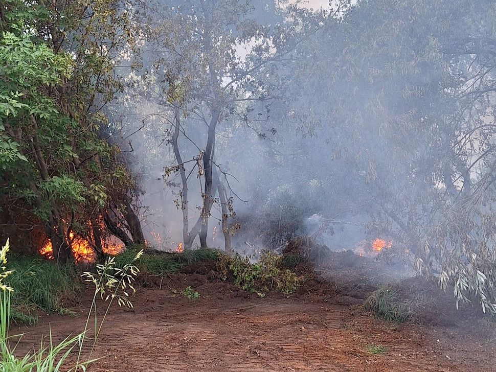 Firefighters tackle two stubborn bush fires near MacGregor ...