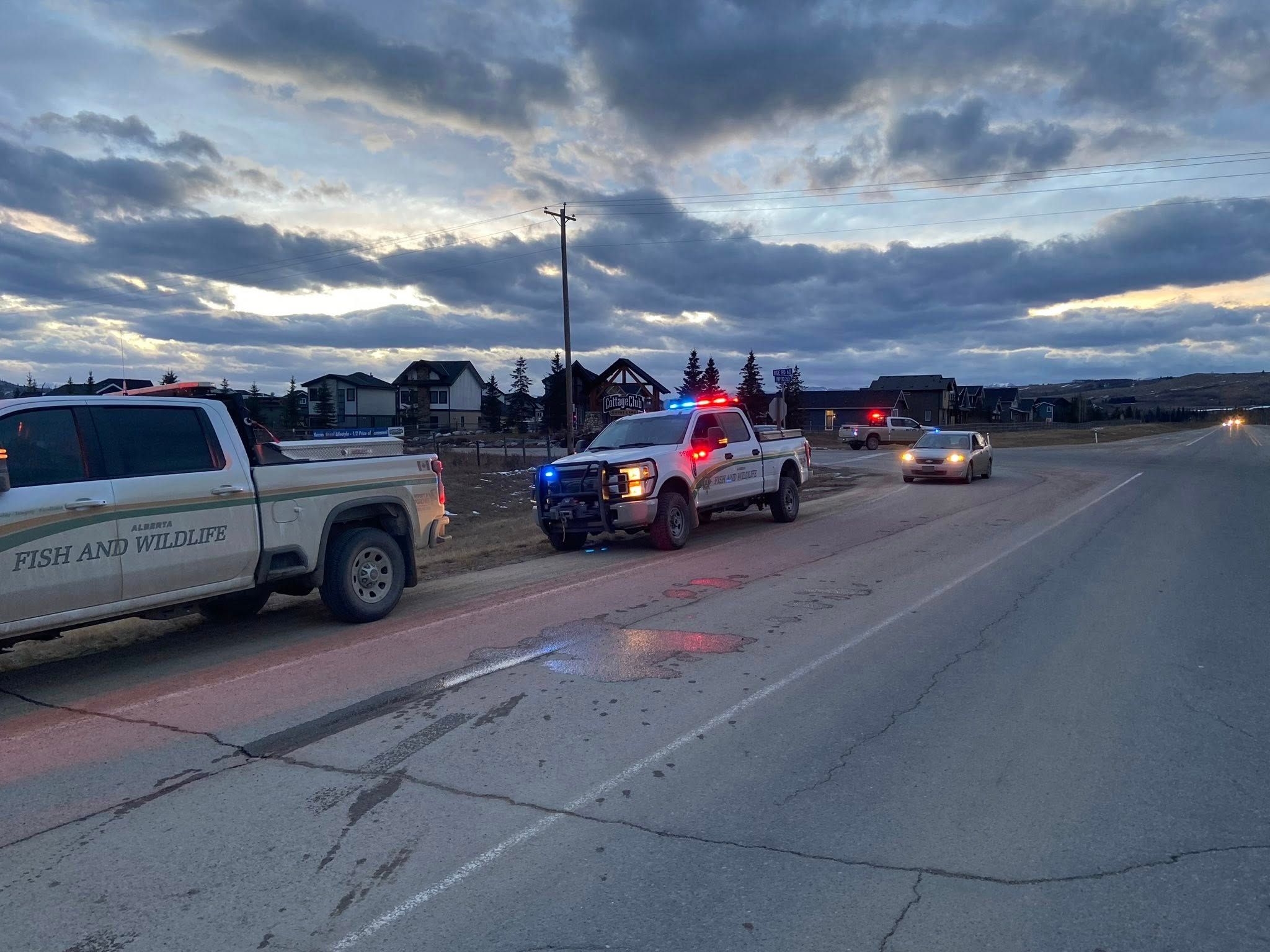 Checkstop near Cochrane nets multiple driver penalties - CochraneNow ...