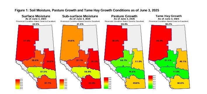 The lack of moisture is becoming more of a concern in Alberta ...