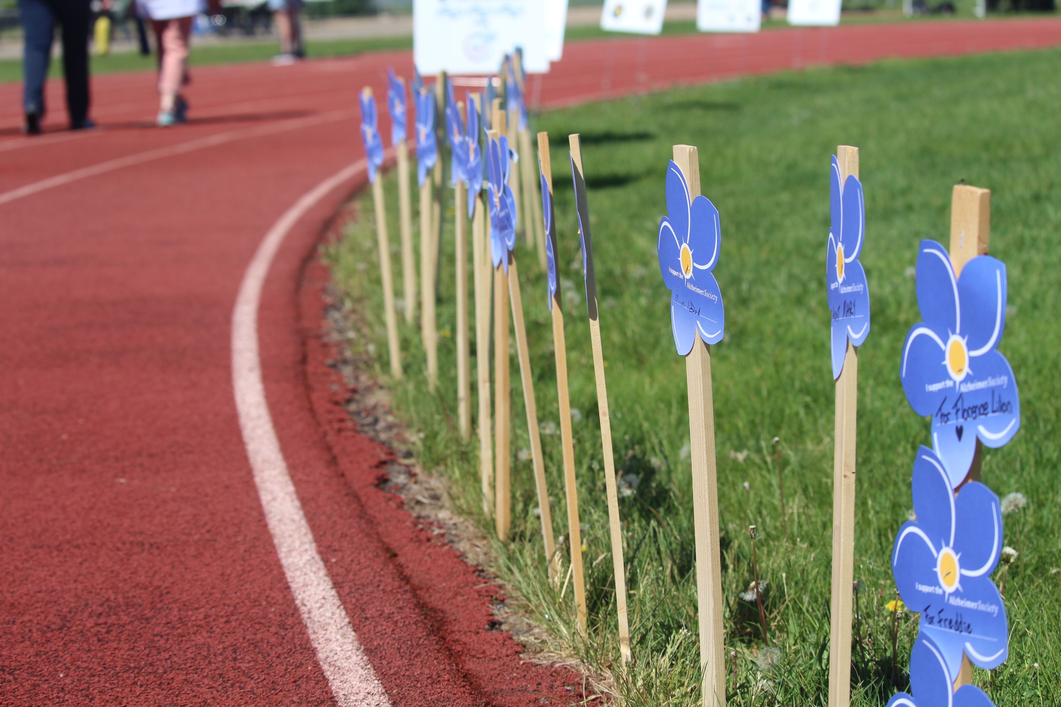 Swift Current's 25th Walk for Alzheimer's packs the track ...
