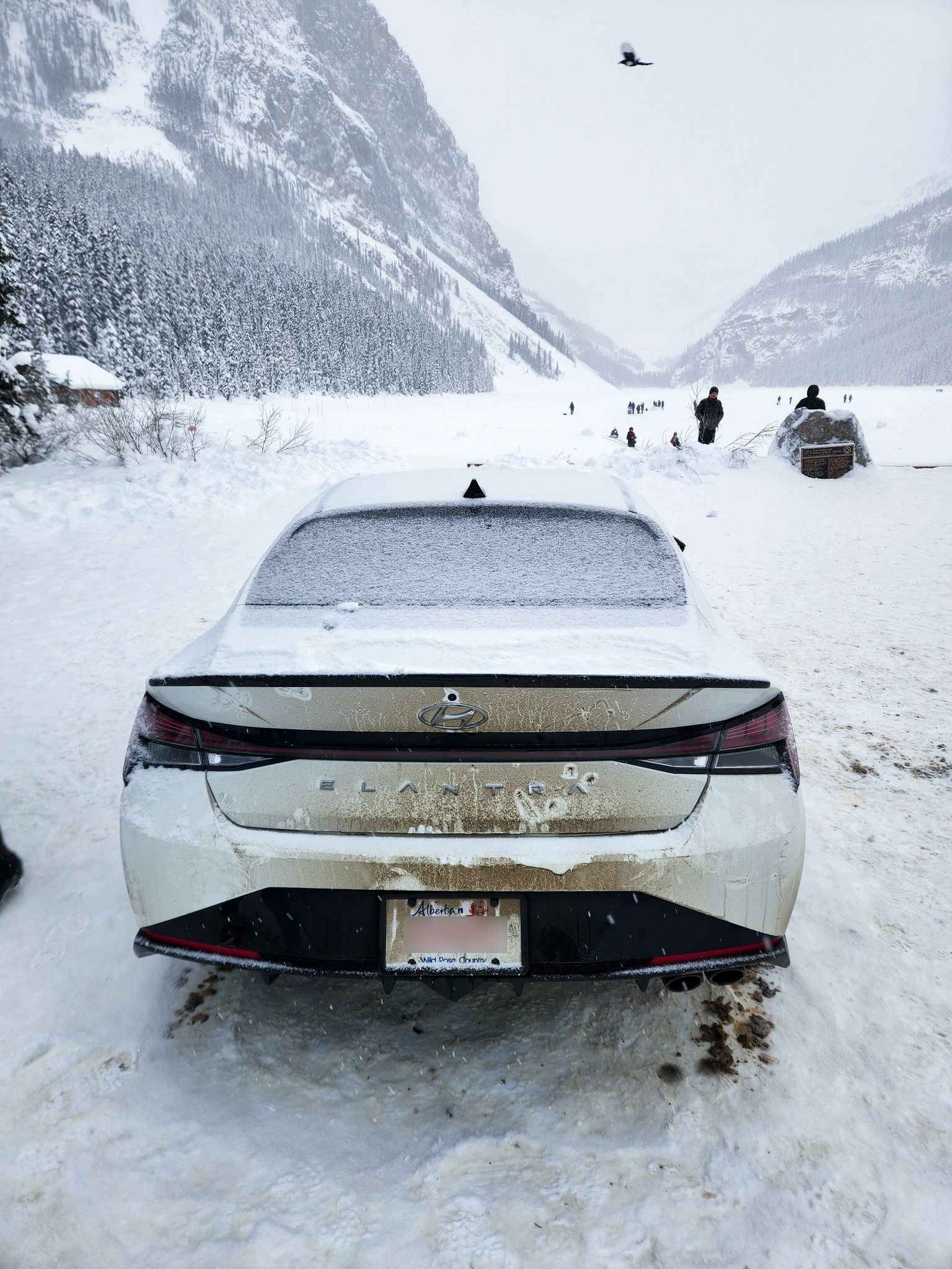 Drivers stuck after ignoring Lake Louise pedestrian zone - CochraneNow ...