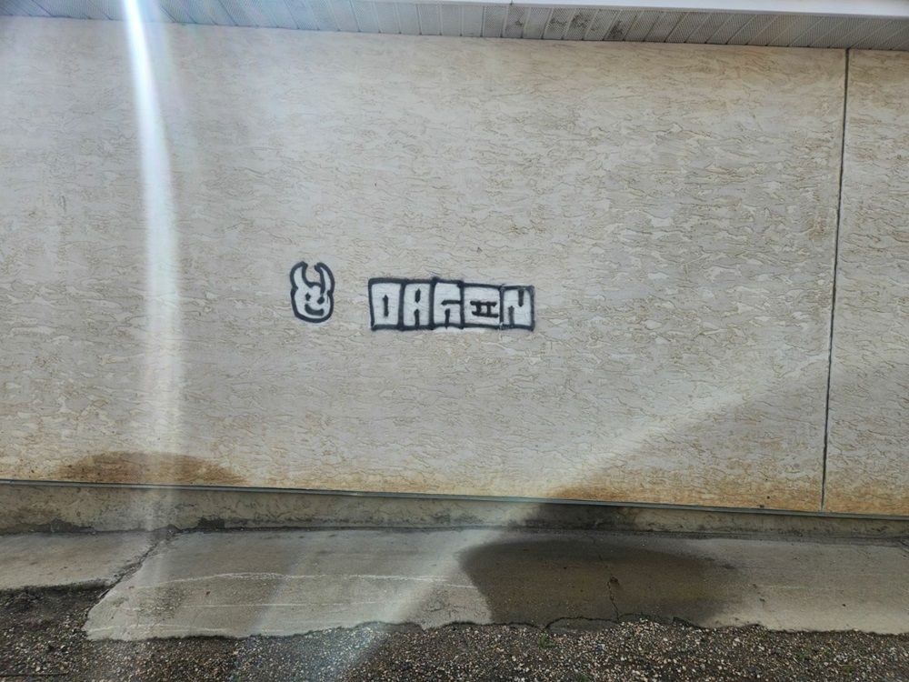 Biggar RCMP charge individual with mischief under $5000 ...