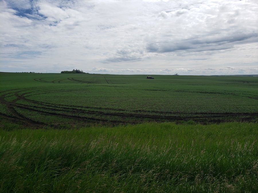 "Senseless damage" near Biggar as stolen vehicle joyrides through fresh ...