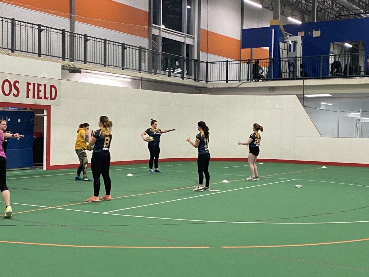 Bow Valley Grizzlies looking for women to join touch rugby team ...