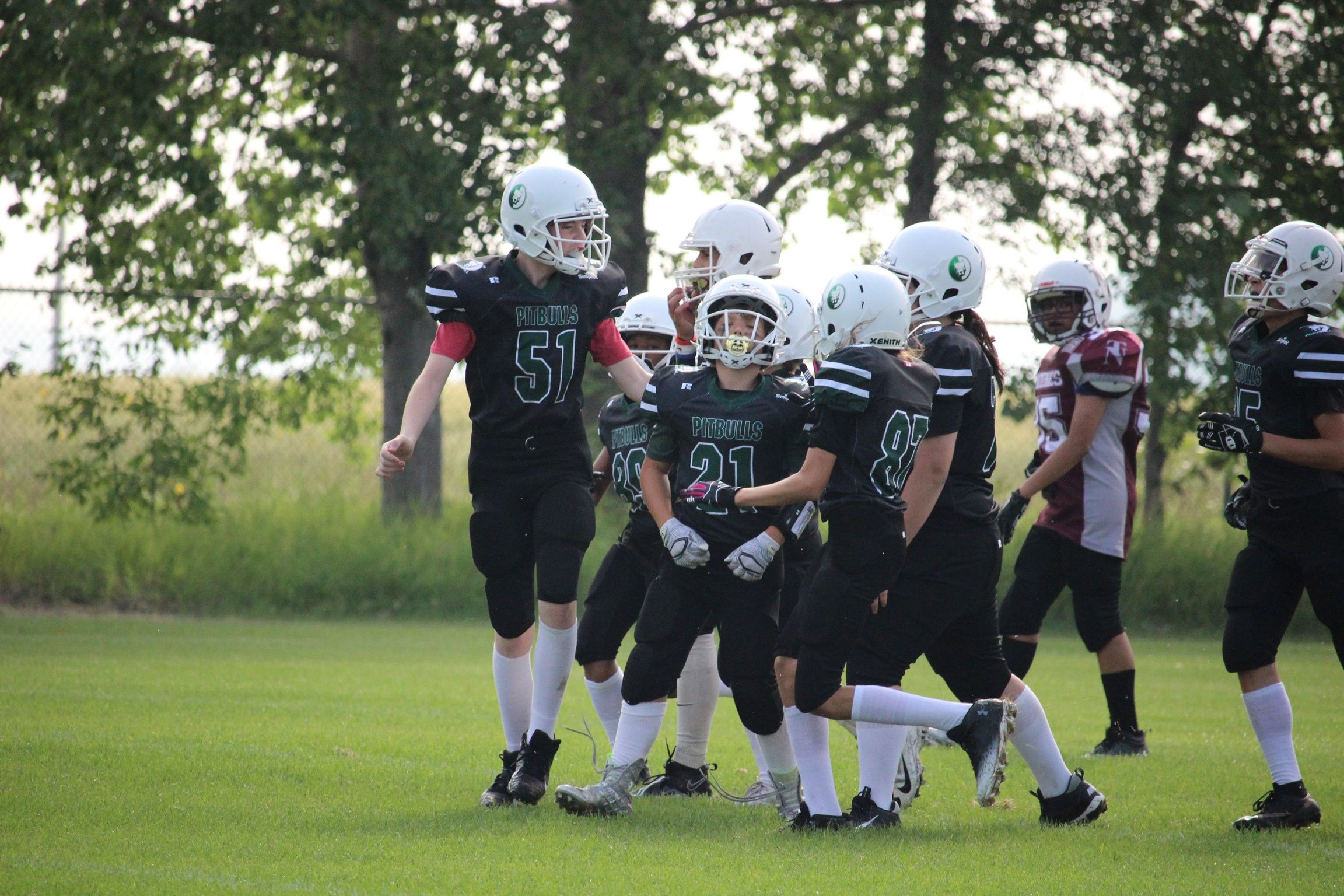 The Portage Pitbulls growing strong - PortageOnline.com - Local news ...