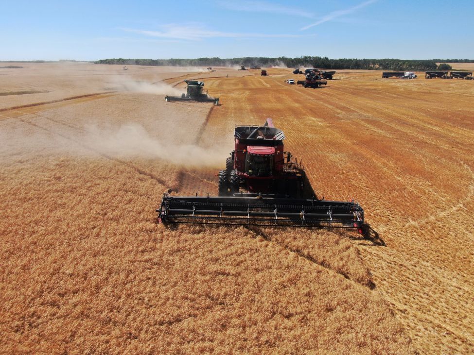 Faith, farming, and global impact: The Neufeld family’s calling for the ...