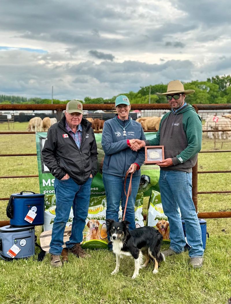 Top stock dogs put to the test at Boissevain Sheep Finals this weekend ...