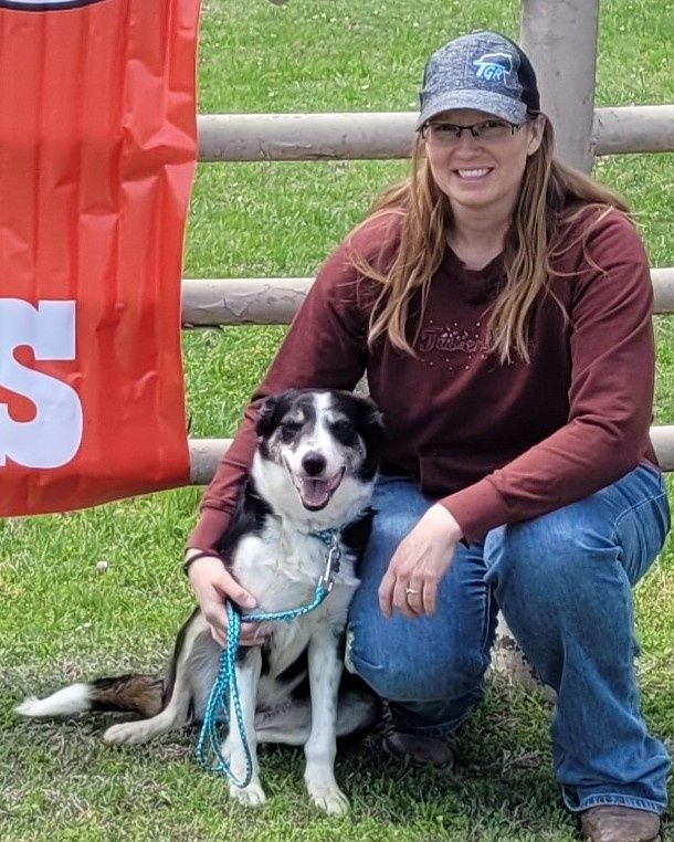 Top stock dogs put to the test at Boissevain Sheep Finals this weekend ...
