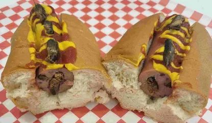 Five can't miss attractions at the Calgary Stampede - CochraneNow ...
