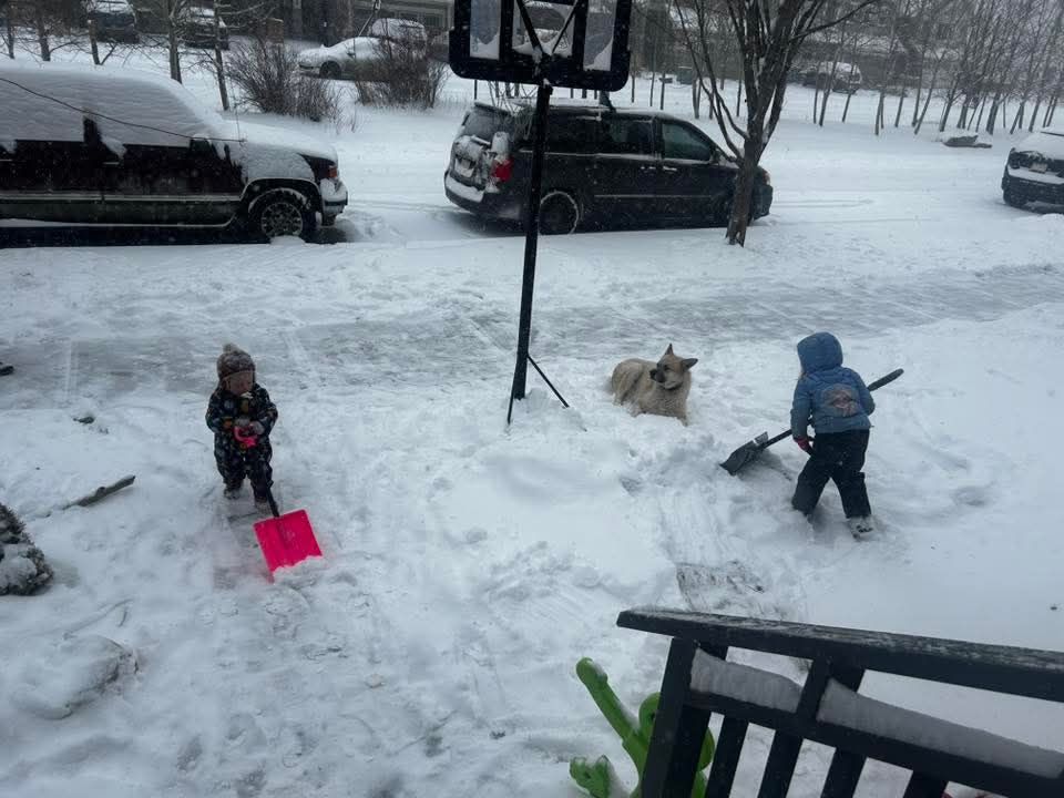 Cochrane digs out of spring snowstorm - CochraneNow: Cochrane, Alberta ...