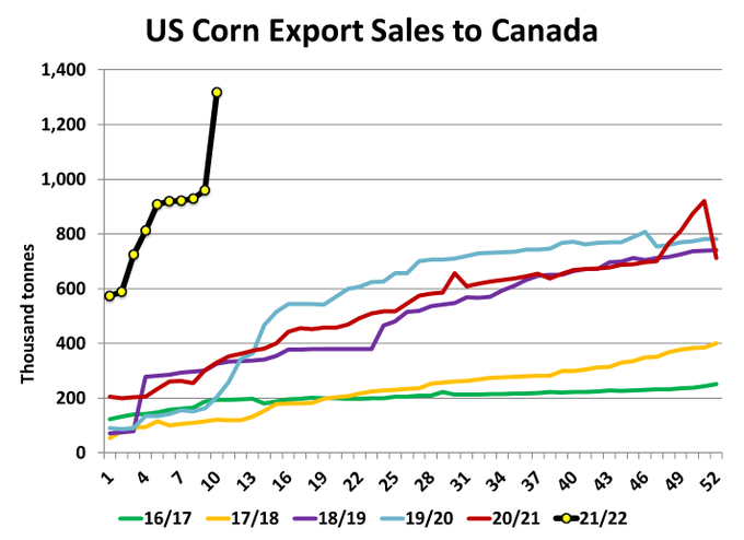Corn imports from U.S. see explosive rise following drought ...